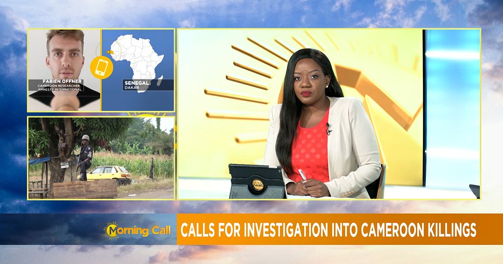International community calls for investigation into Cameroon village ...