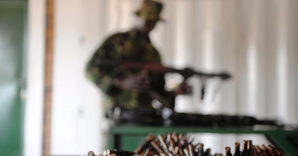 DRC blames Rwandan Hutu rebels for ranger massacre | Africanews