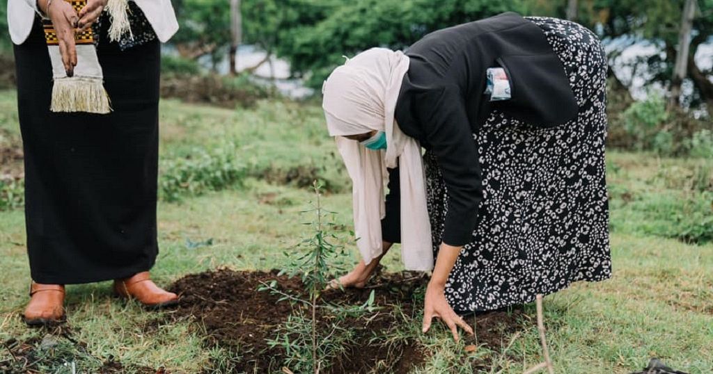 Green Legacy: Ethiopia's 5 billion tree seedlings project kicks off ...
