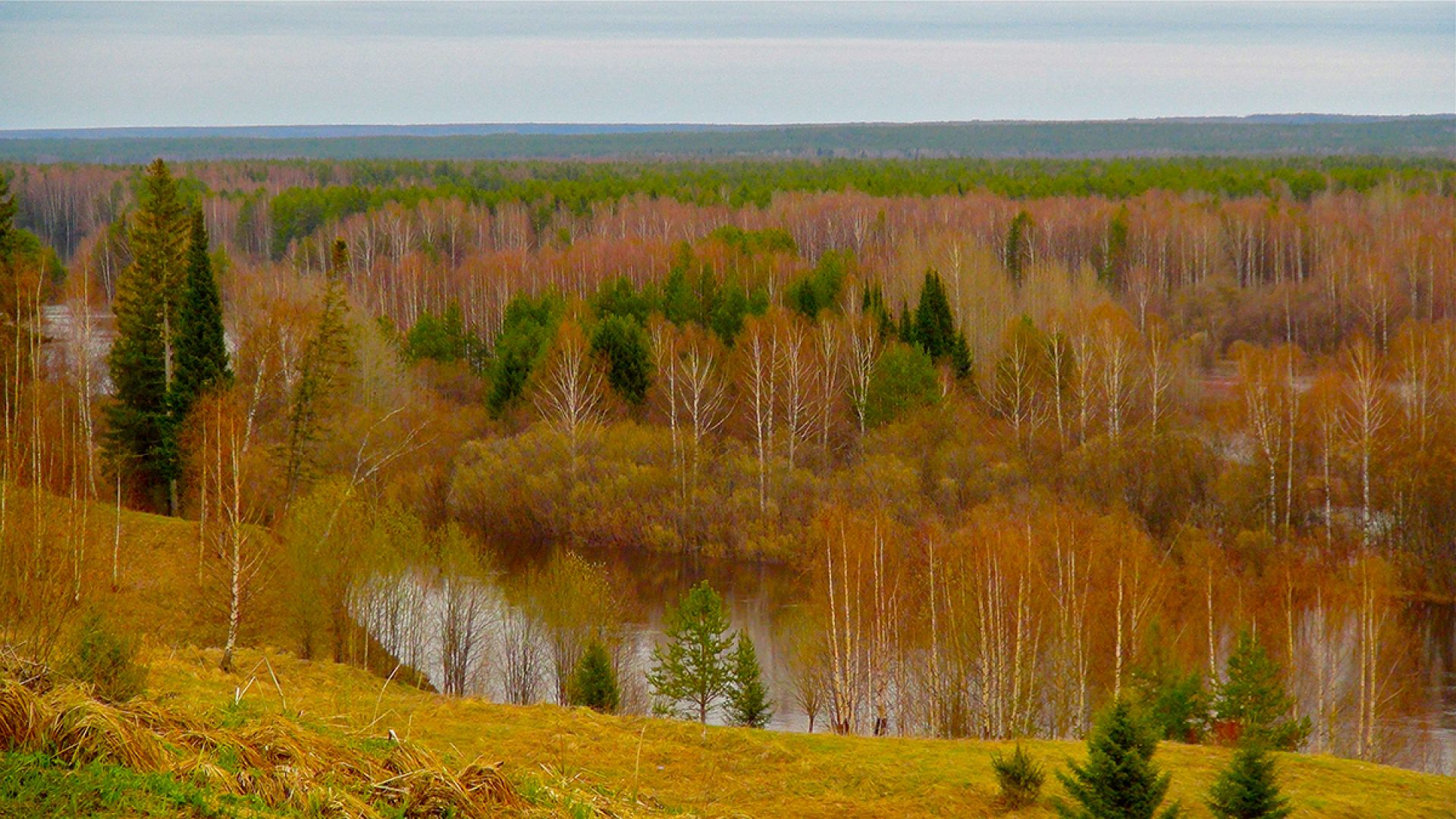 Travel diary: 'Get up close to the culture and history of the Komi ...