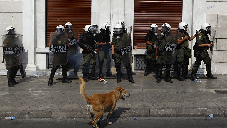Loukanikos, Greece's iconic 'riot dog', dies | Euronews