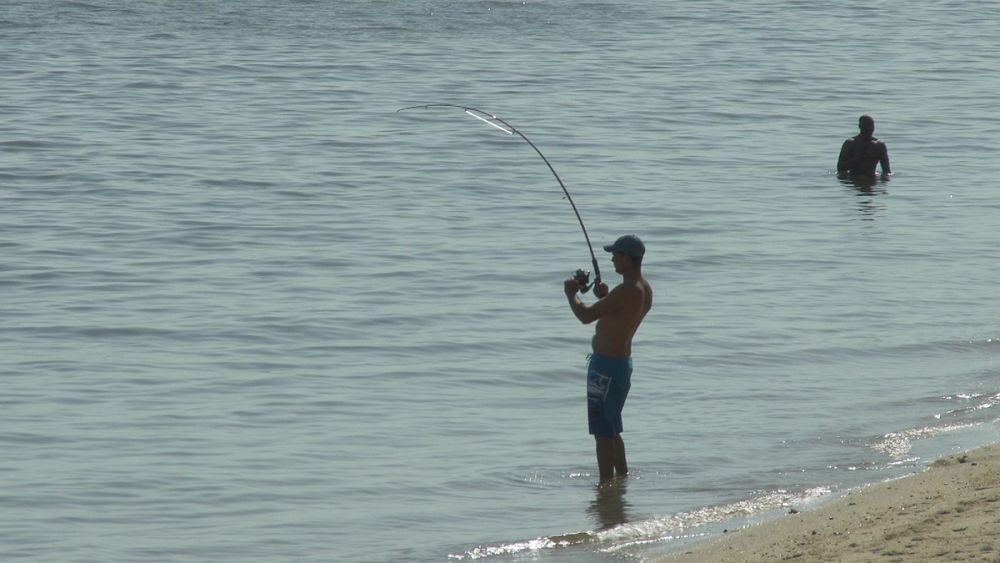 Do you know: can you run away from a tsunami? | Euronews