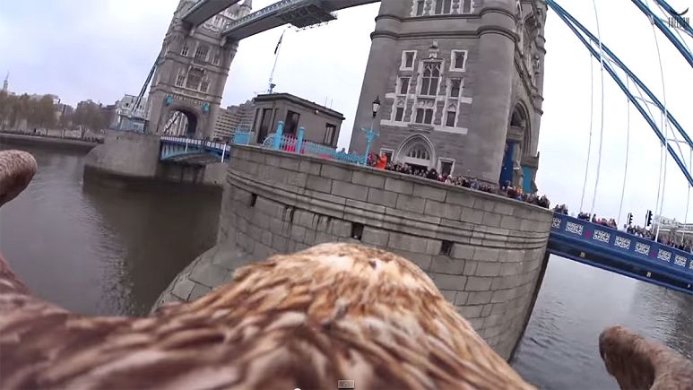 Watch: Eagle captures remarkable footage of London | Euronews