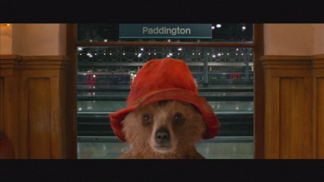 Paddington lights up the silver screen | Euronews