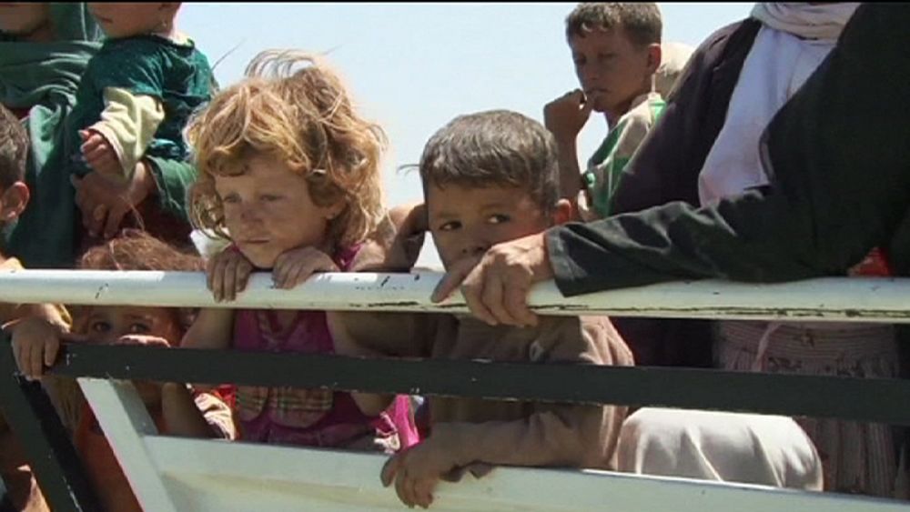 Amnesty International : 2014, année "catastrophique" pour les civils ...