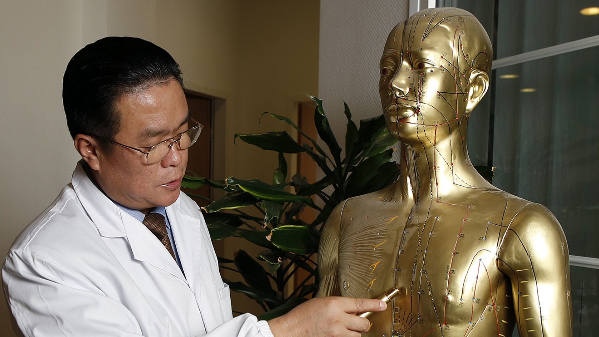 How could a cup of tea or soup prevent illness? – a Traditional Chinese ...