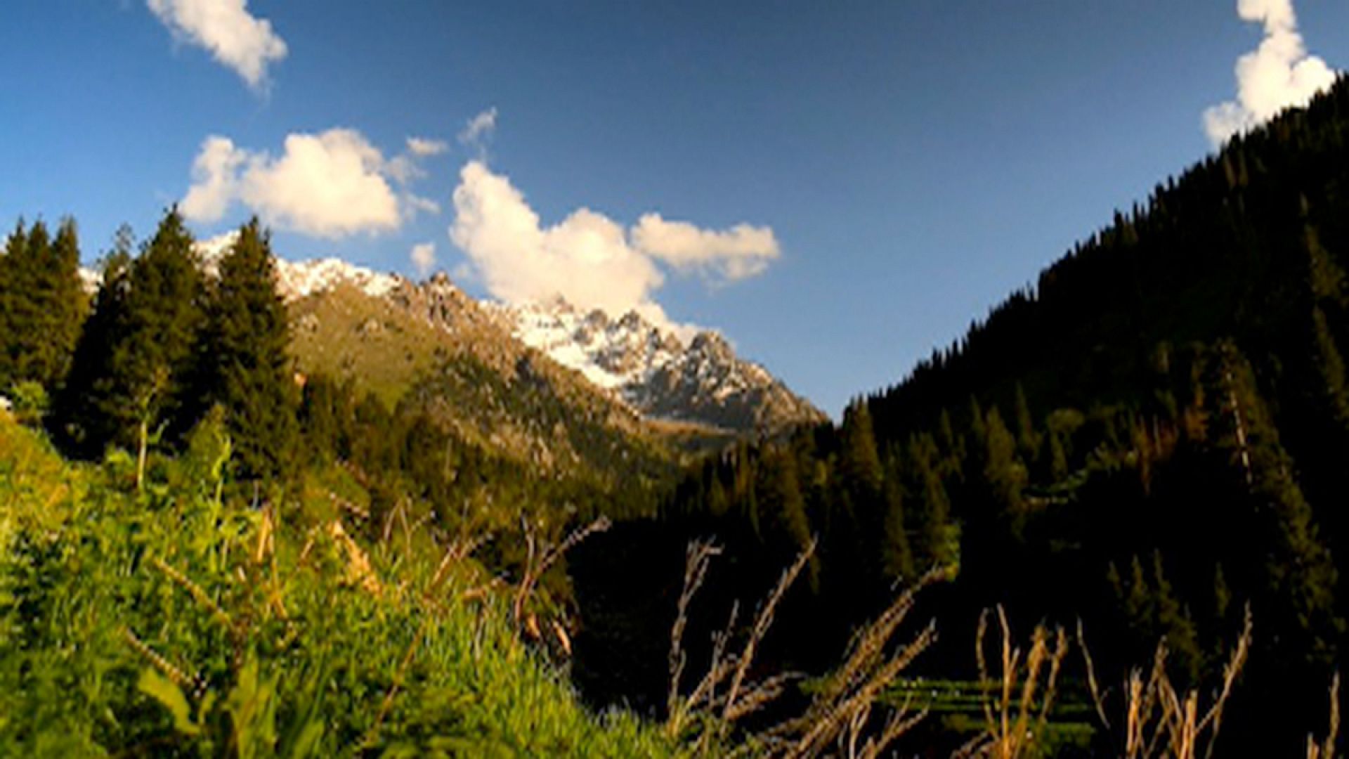 Almaty: the natural wonders of Kazakhstan’s largest city | Euronews