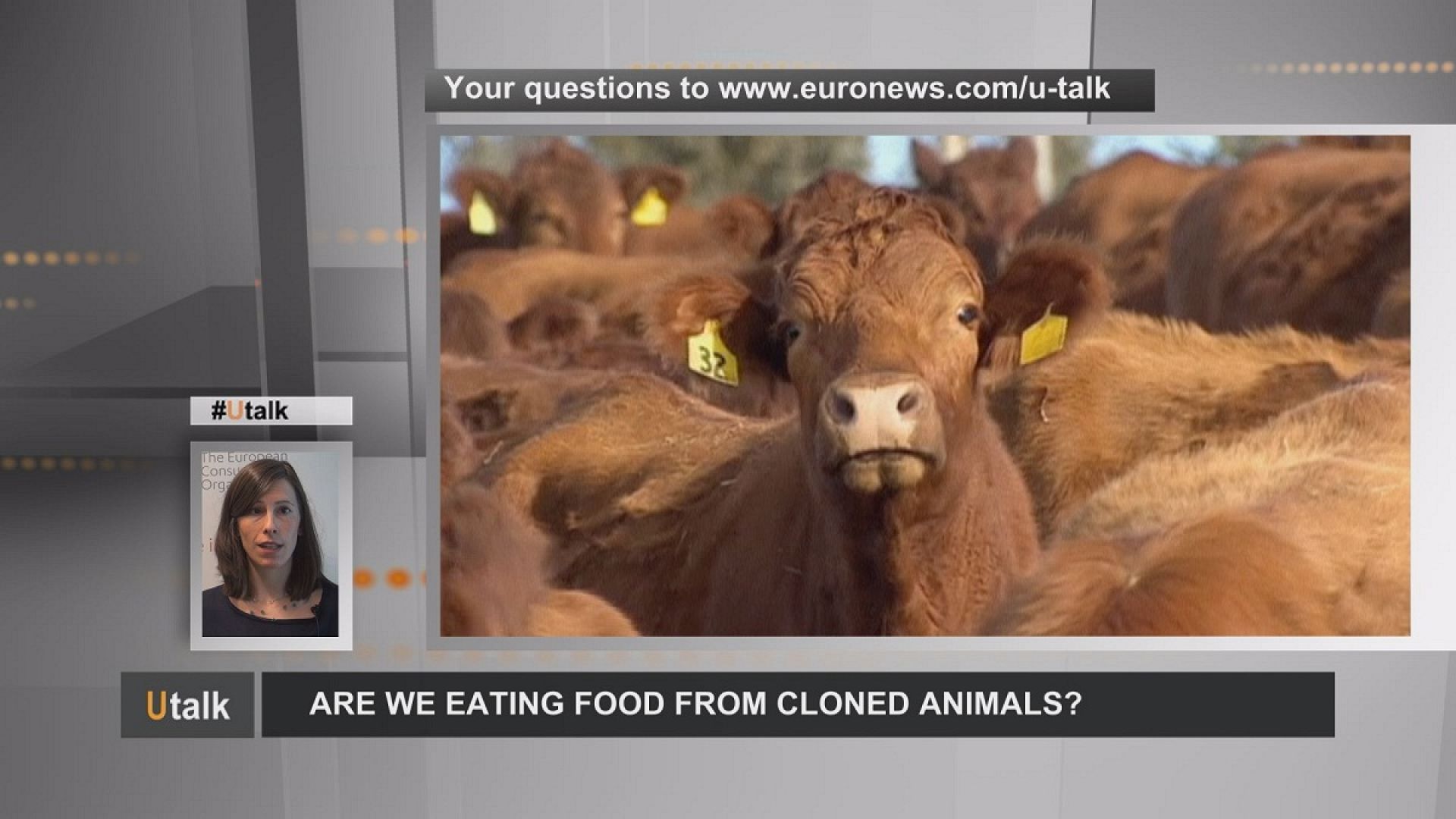 Food from animal clones: what European citizens need to know | Euronews