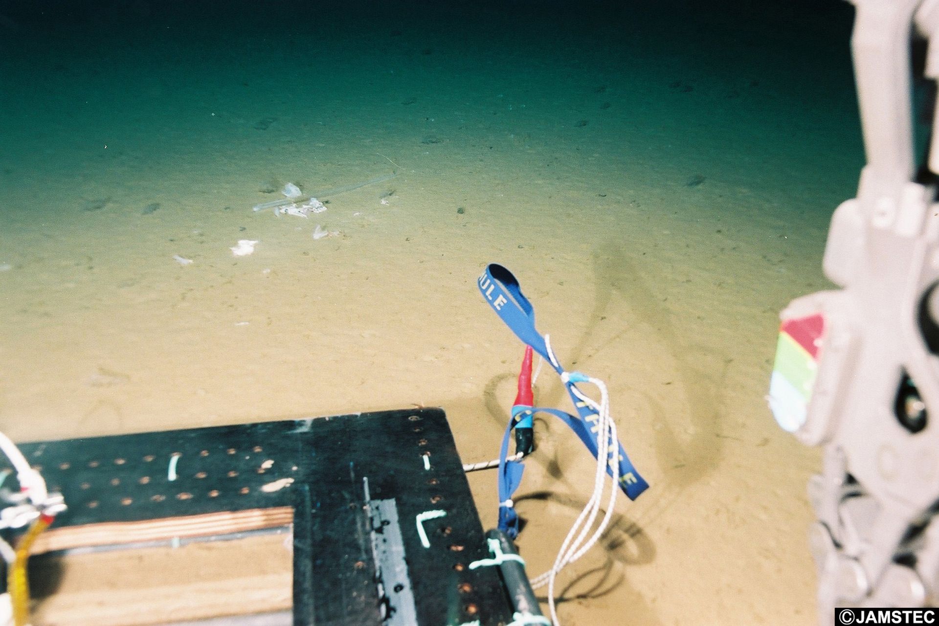 Plastic trash found in the deepest part of the ocean | Euronews