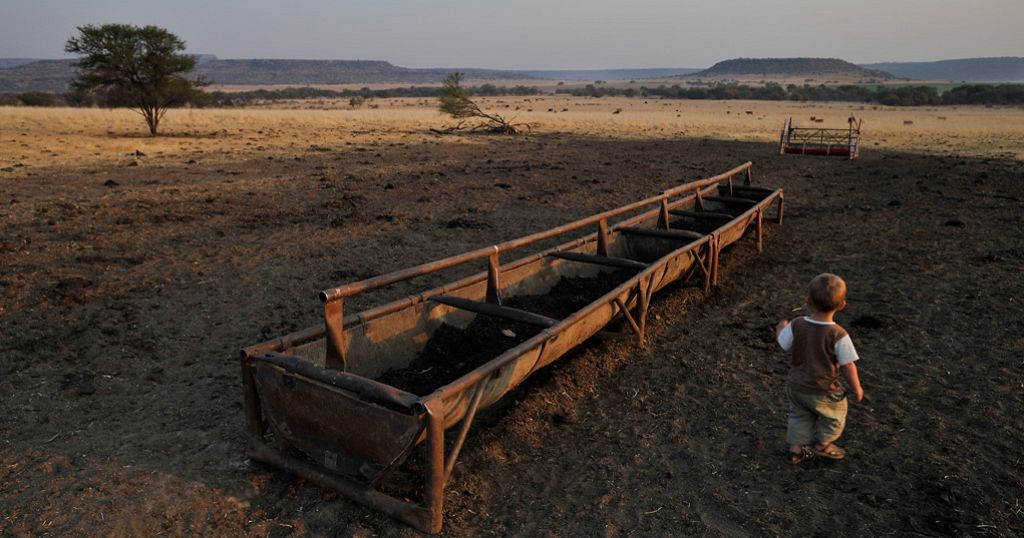 Drought throttling SA food security | Africanews