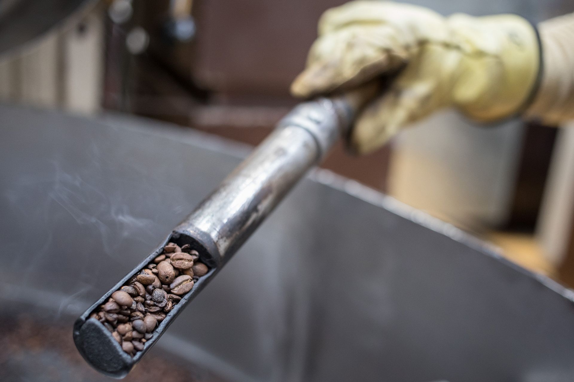Coffee's survival is in danger. These scientists are fighting to save ...