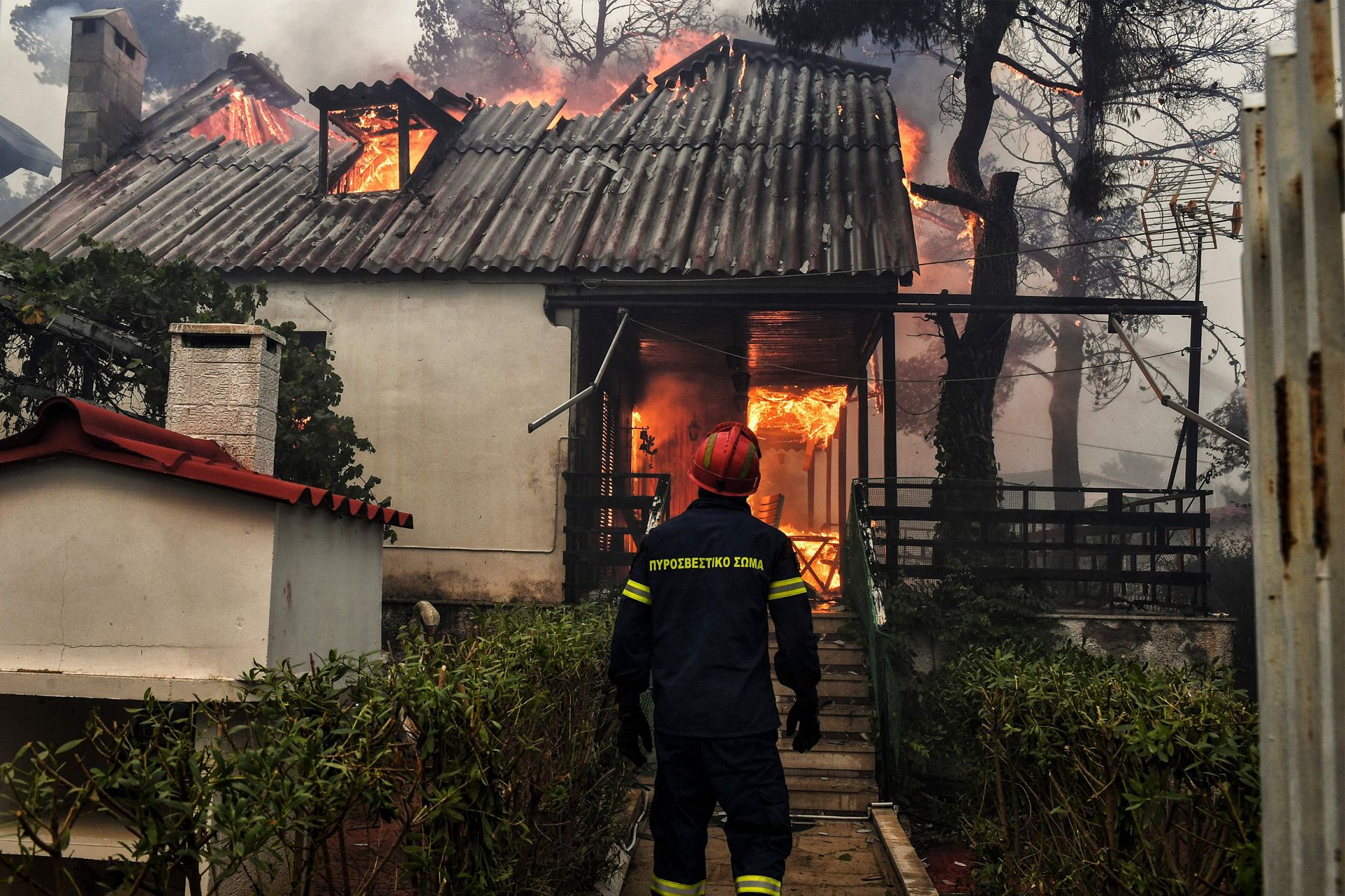 Greek wildfire kills at least 20 near Athens as residents flee | Euronews