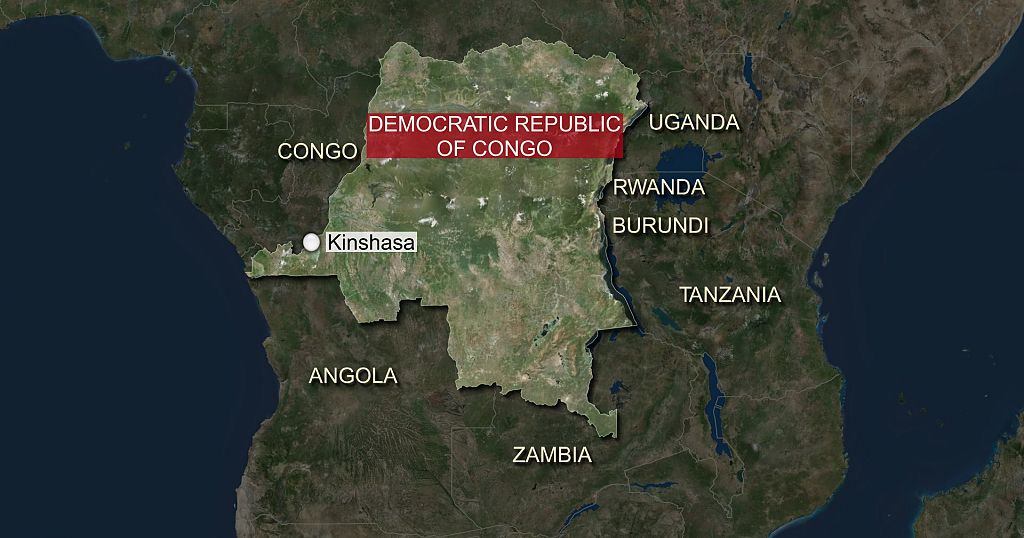 DRC: Martin Fayulu freed after Sunday's arrest | Africanews