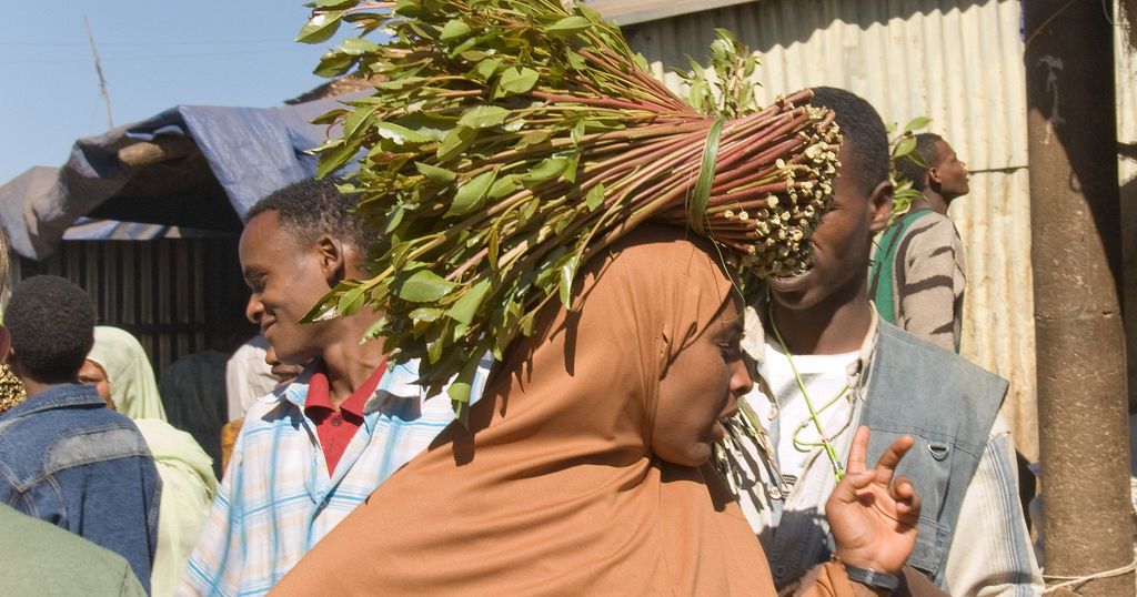 Madagascar : quand le khat gagne du terrain | Africanews