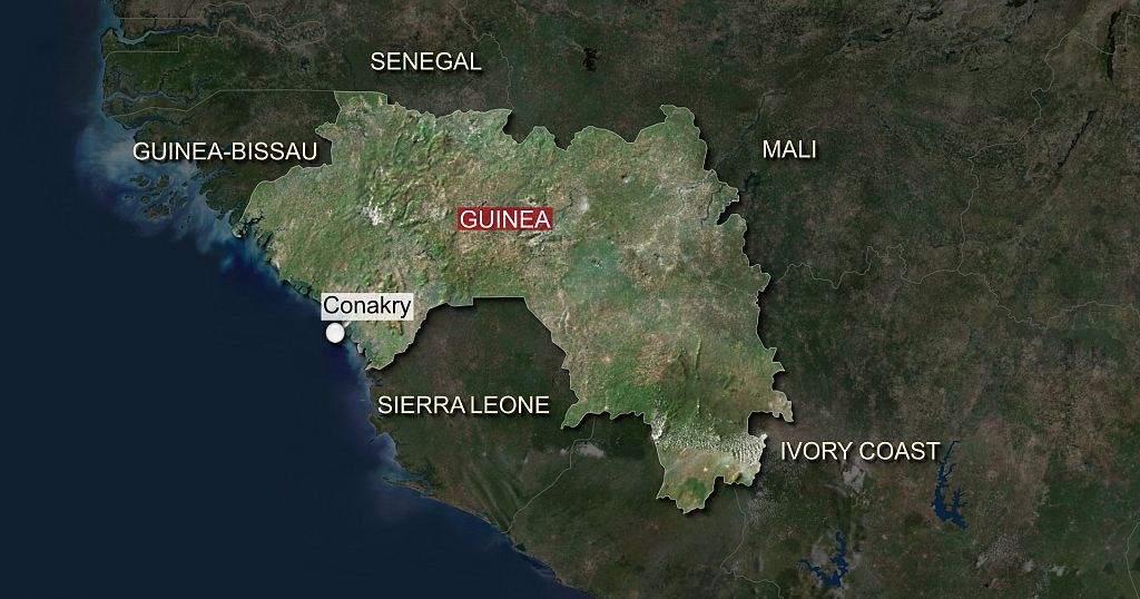 Trade Unionists arrested on day 4 of Guinea's strike | Africanews