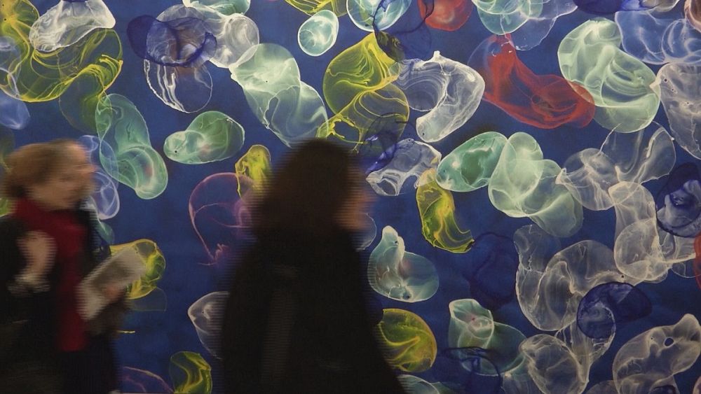 ARCO Madrid marks 35th anniversary | Euronews