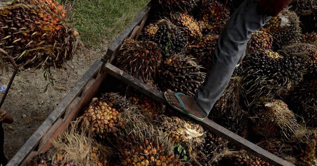 France’s proposed palm oil tax threatens African farmers - IPPA ...