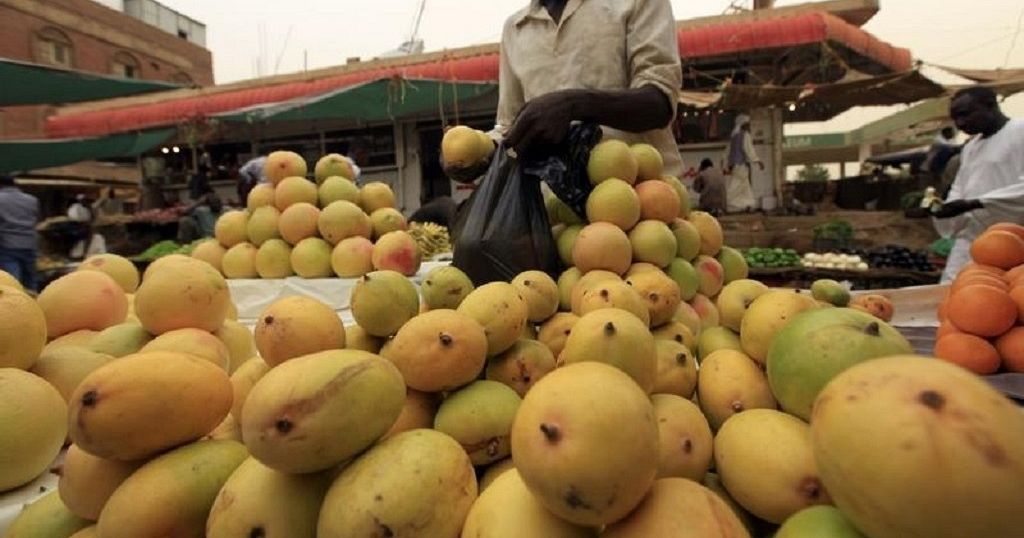 Senegal plans to boost mango exports | Africanews