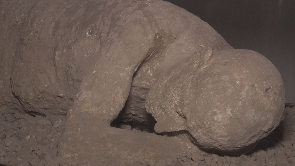 Pompeii museum reopens after 36 years | Euronews Pompeii museum reopens after 36 years | Euronews