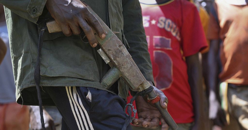 At least 10 killed in CAR by suspected Fulani and ex-Seleka rebels ...