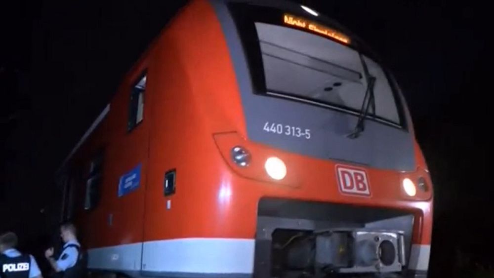 Afghan youth attacks German train passengers with axe | Euronews