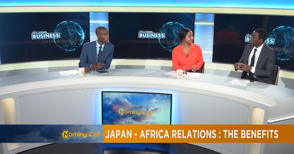 Japan-Africa relations: What can Africa benefit from Japan? | Africanews