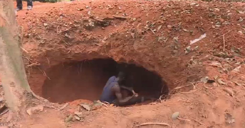 Ivory Coast: Illegal gold digging destroying cocoa plantations | Africanews