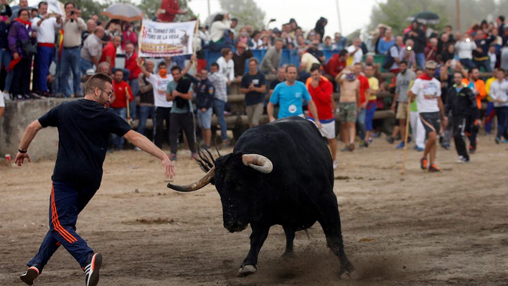 'Toro de la Pena' bull-lancing festival spurs controversy in Spain ...