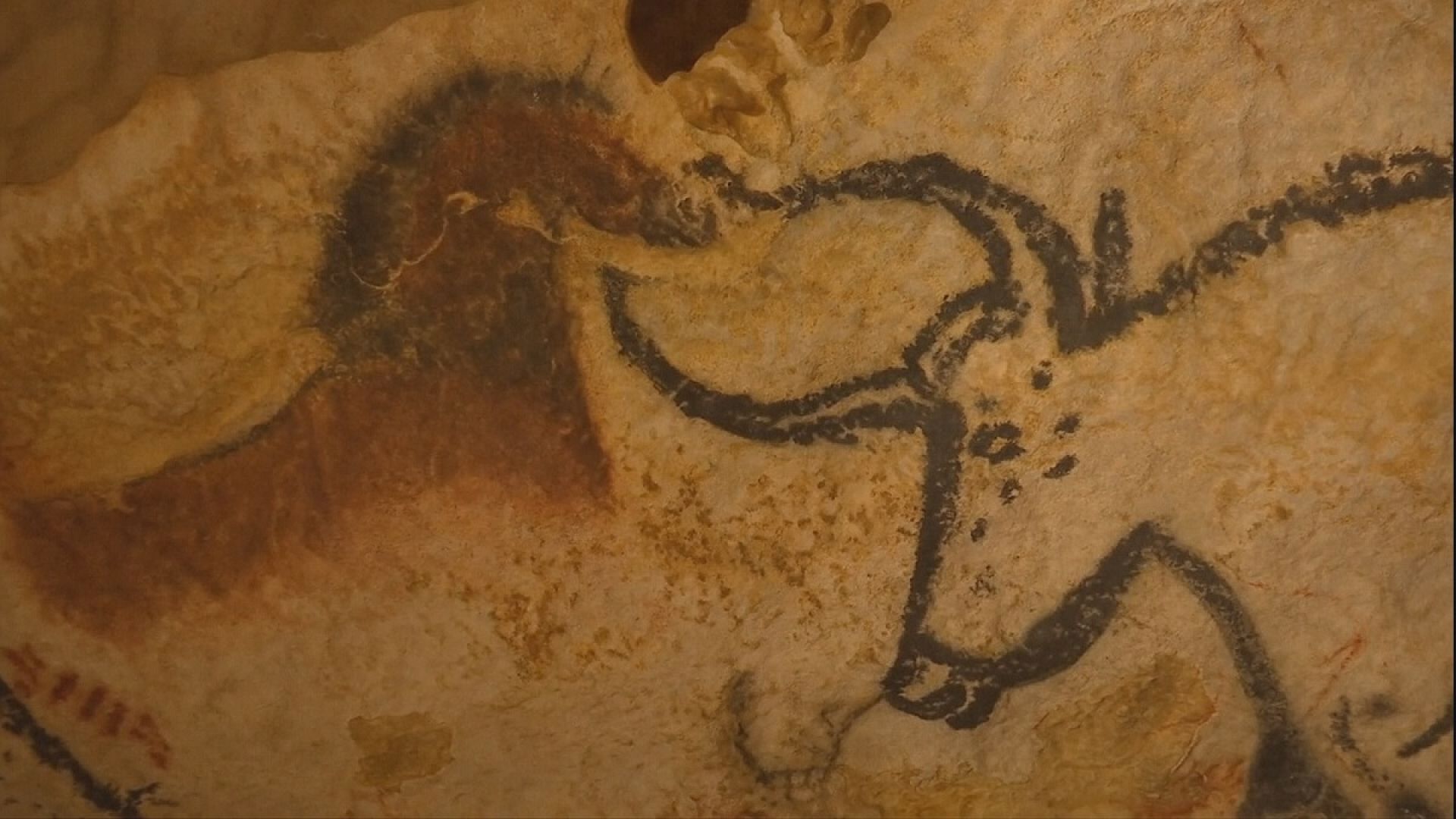 3D Lascaux cave comes to life | Euronews