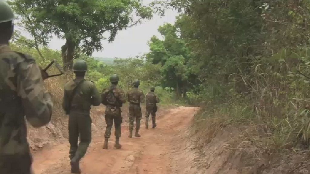 Central African Republic: Seleka rebels kill 26 | Africanews