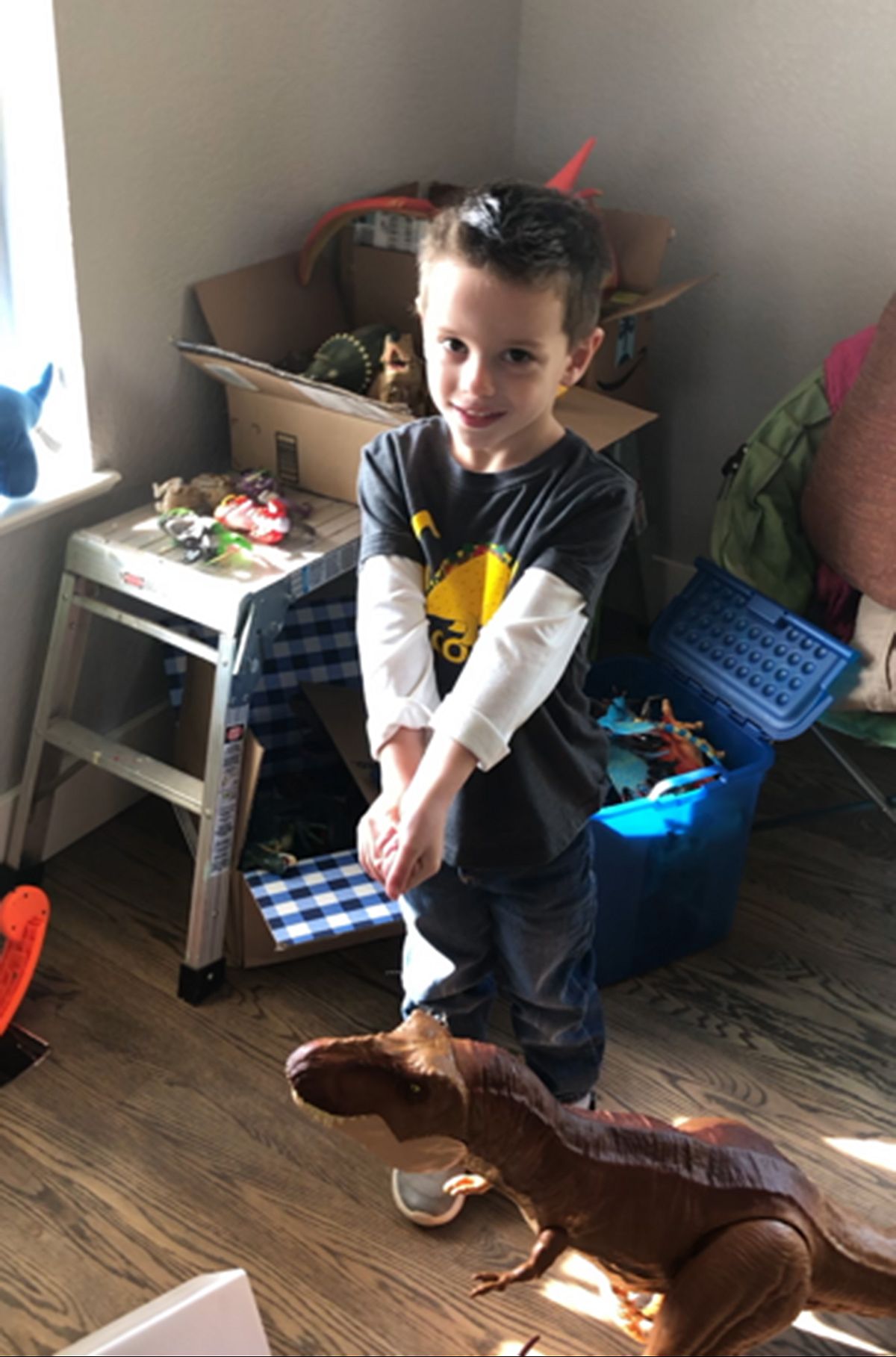 After boy lost his dinosaurs to California wildfire, strangers showed ...