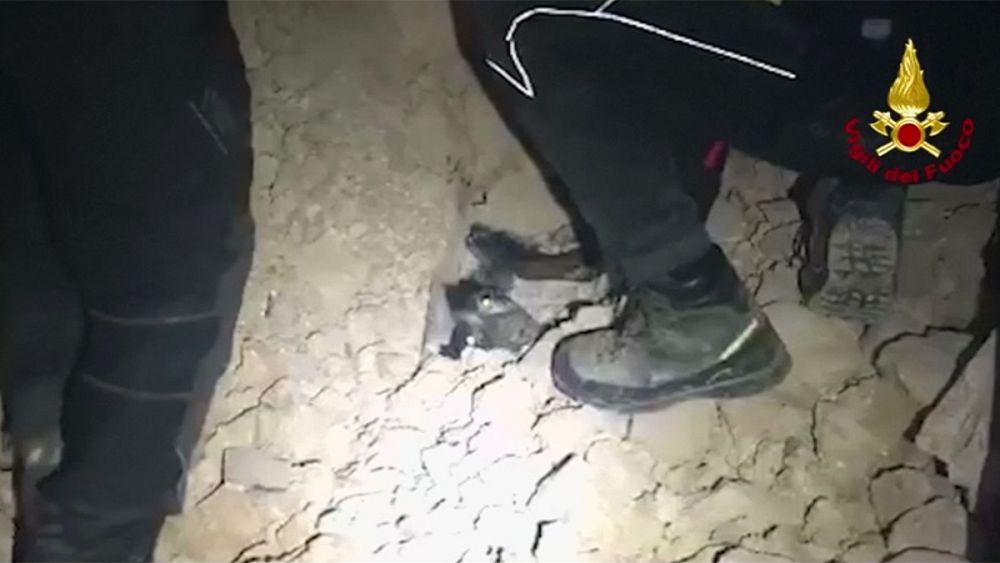 Italy's 'quake' dog rescue | Euronews