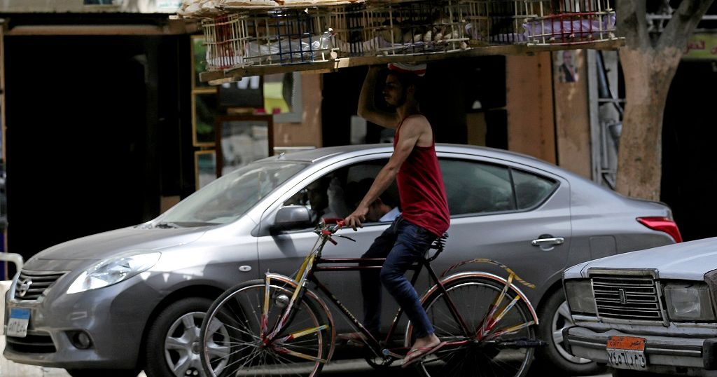Battling Cairo's traffic congestion | Africanews