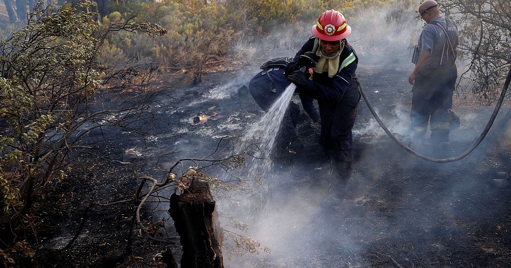 South Africa: Cape Town wildfires contained | Africanews