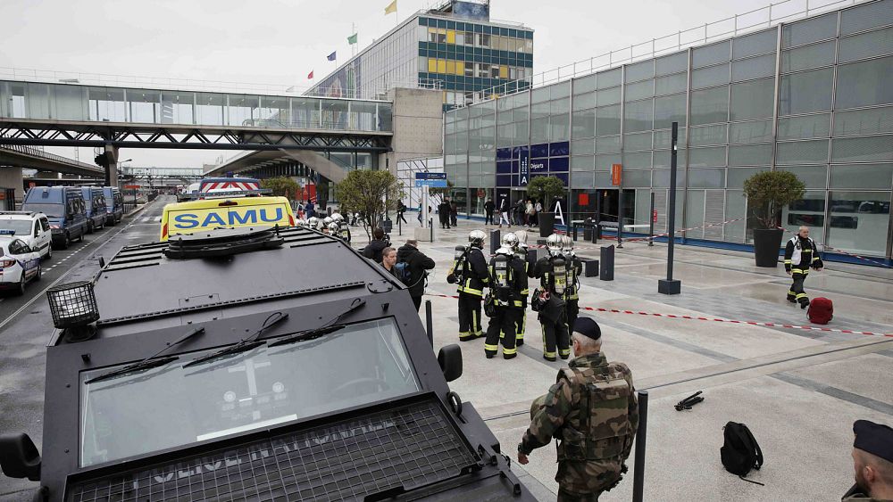 Orly attacker was known to French police | Euronews
