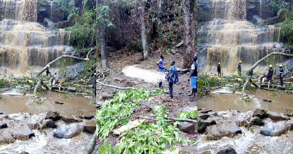 20 dead as tree falls on students swimming at waterfall in Ghana ...