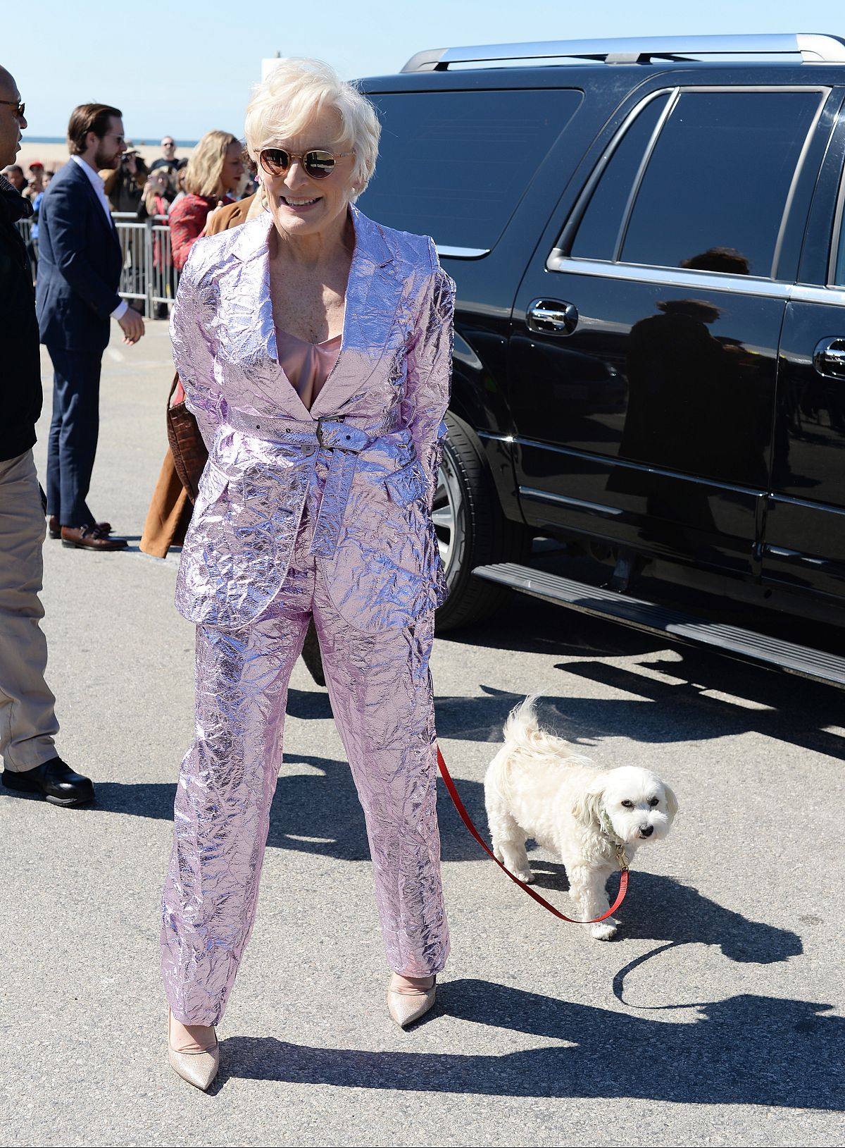 Glenn Close's adorable pup 'Sir Pippin' steals the show at awards ...