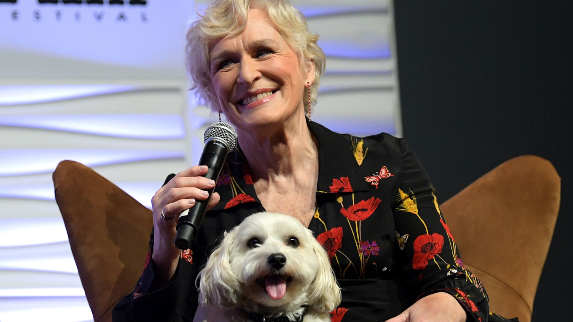 Glenn Close's adorable pup 'Sir Pippin' steals the show at awards ...