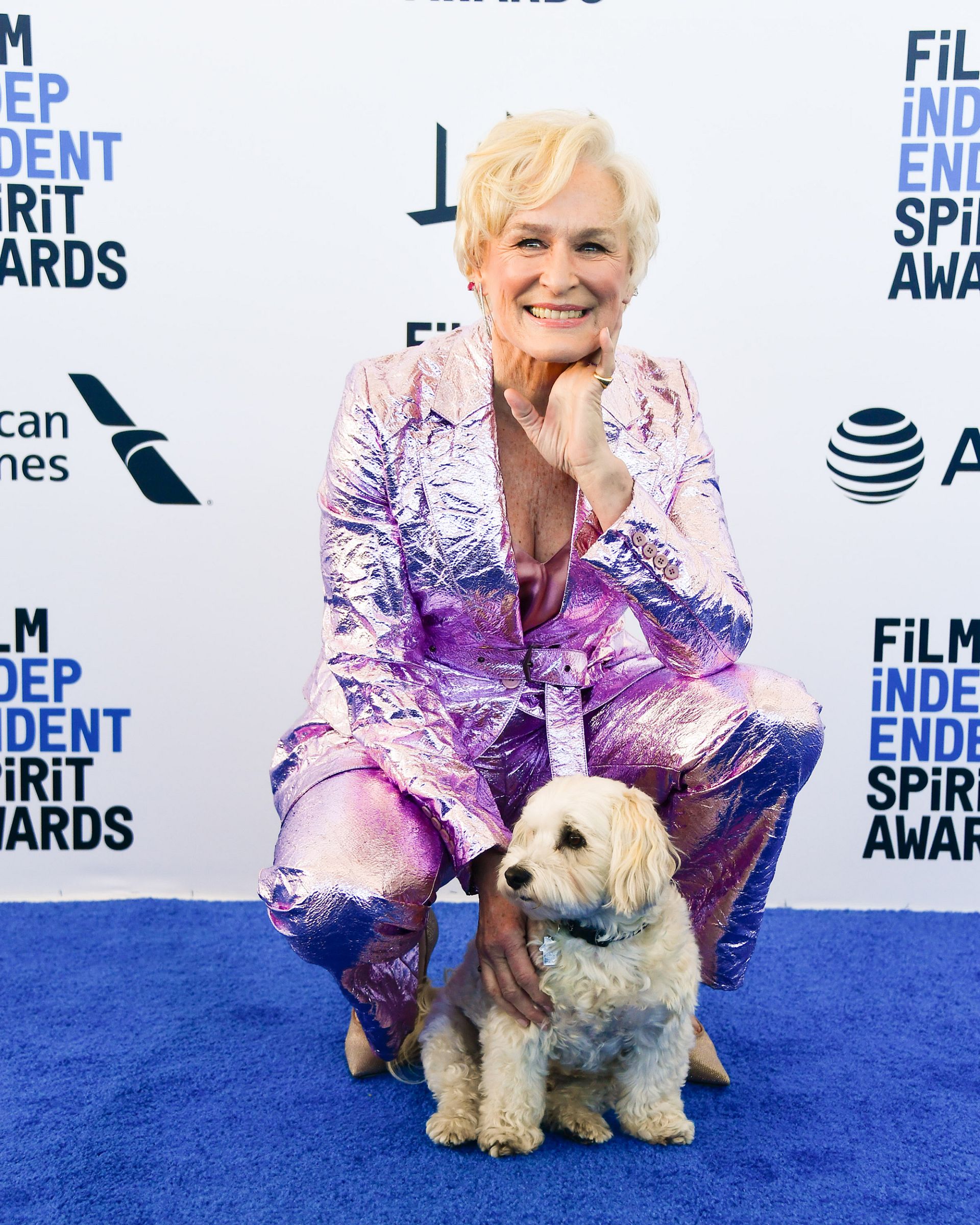 Glenn Close's adorable pup 'Sir Pippin' steals the show at awards ...