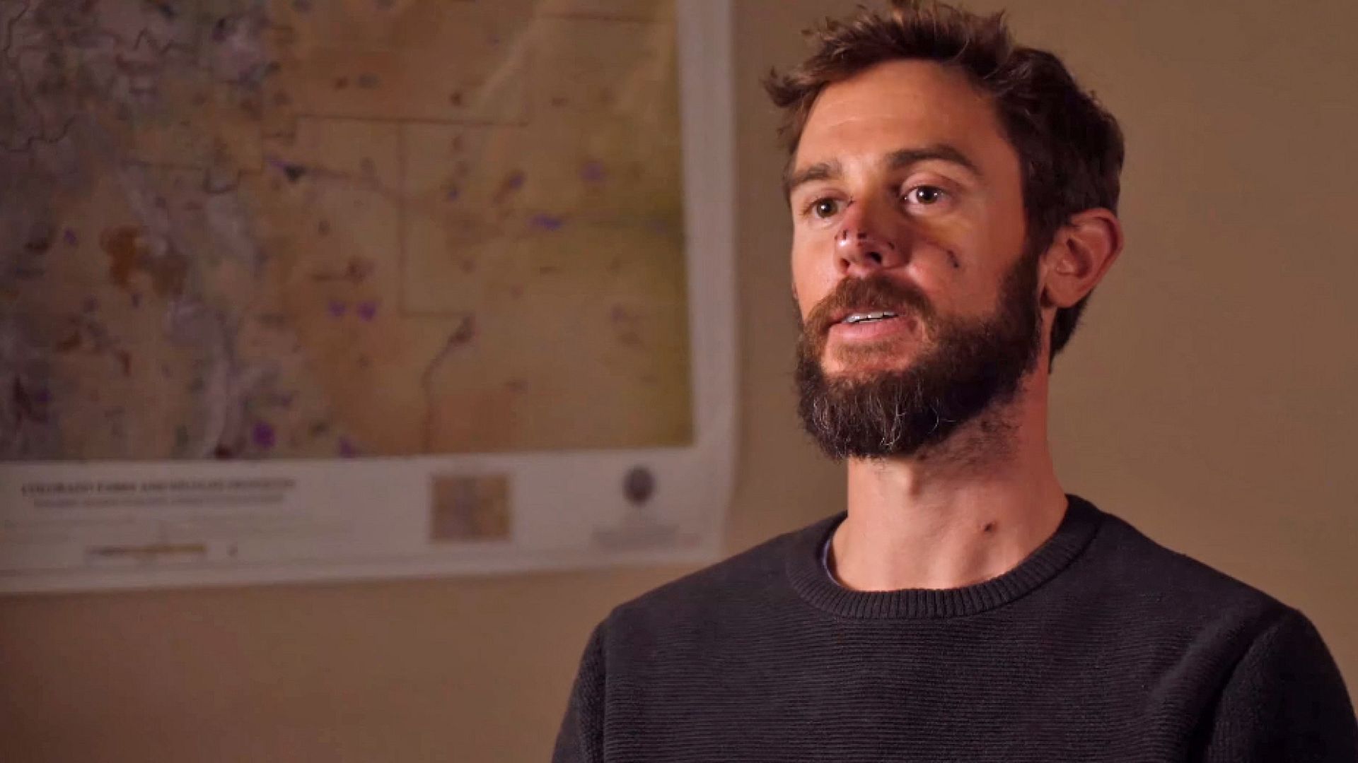 Mountain lion killed by Colorado jogger was an orphaned kitten | Euronews