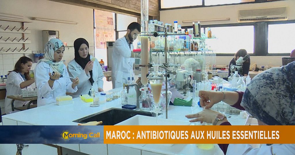 Morocco: Natural alternative to antibiotics [The Morning Call] | Africanews