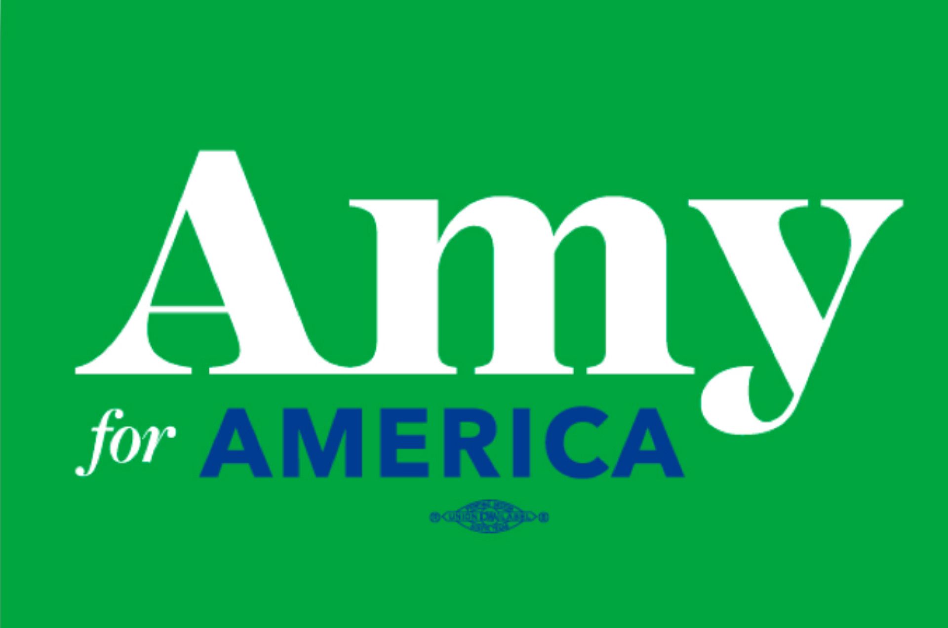 The 2020 Democrats' campaign logos, in graphic detail | Euronews
