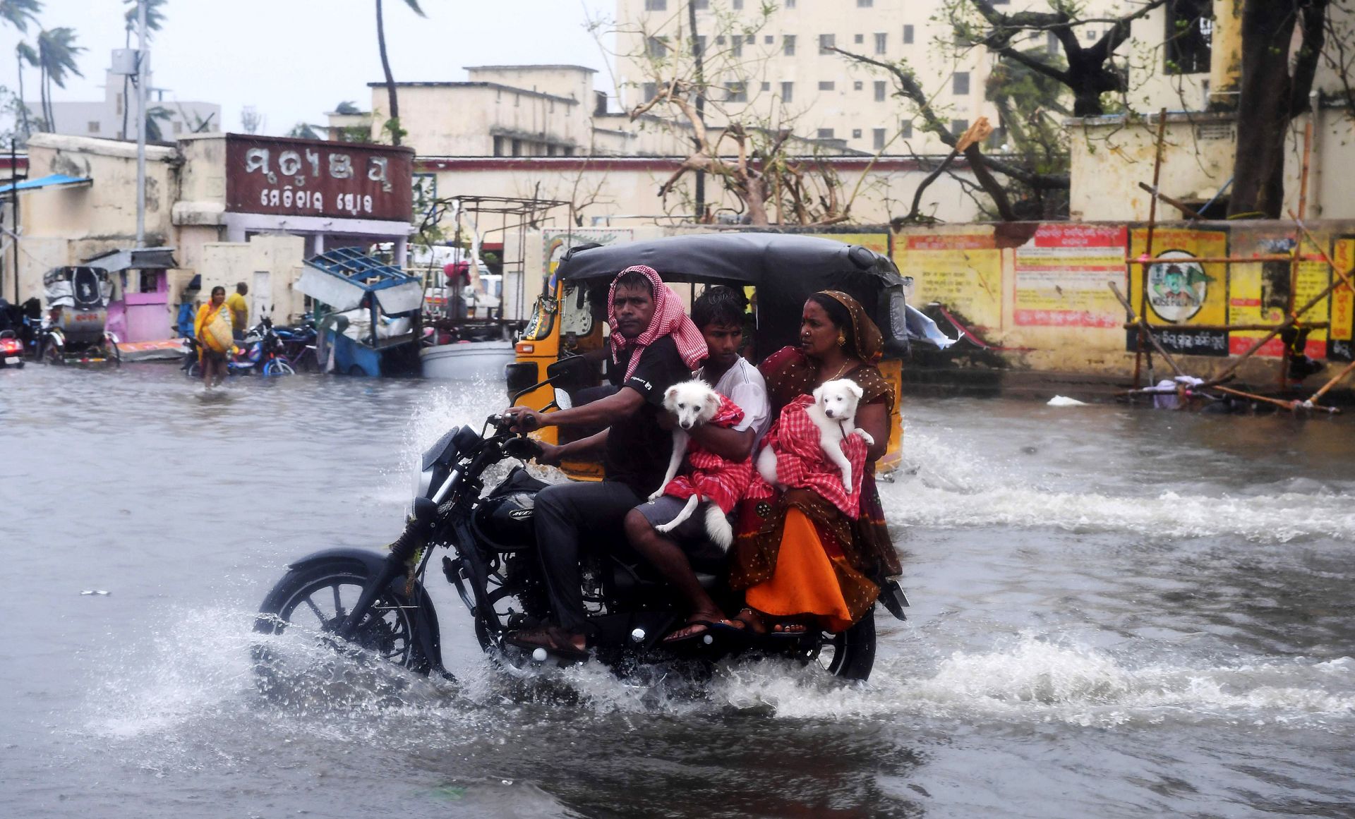 Cyclone Fani lashes India, forces 1.2 million from homes | Euronews