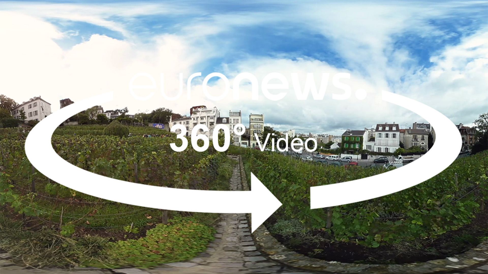 Montmartre celebrates Paris' vines and wines | Euronews