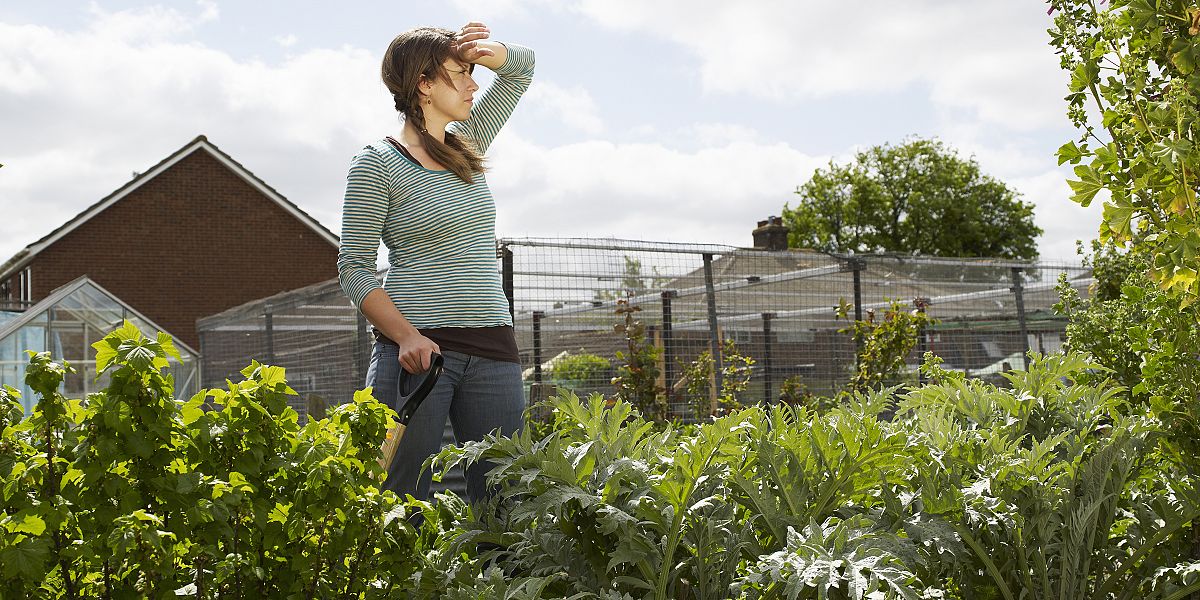 3 stages of serious heat injury to watch for in scorching summer temps ...