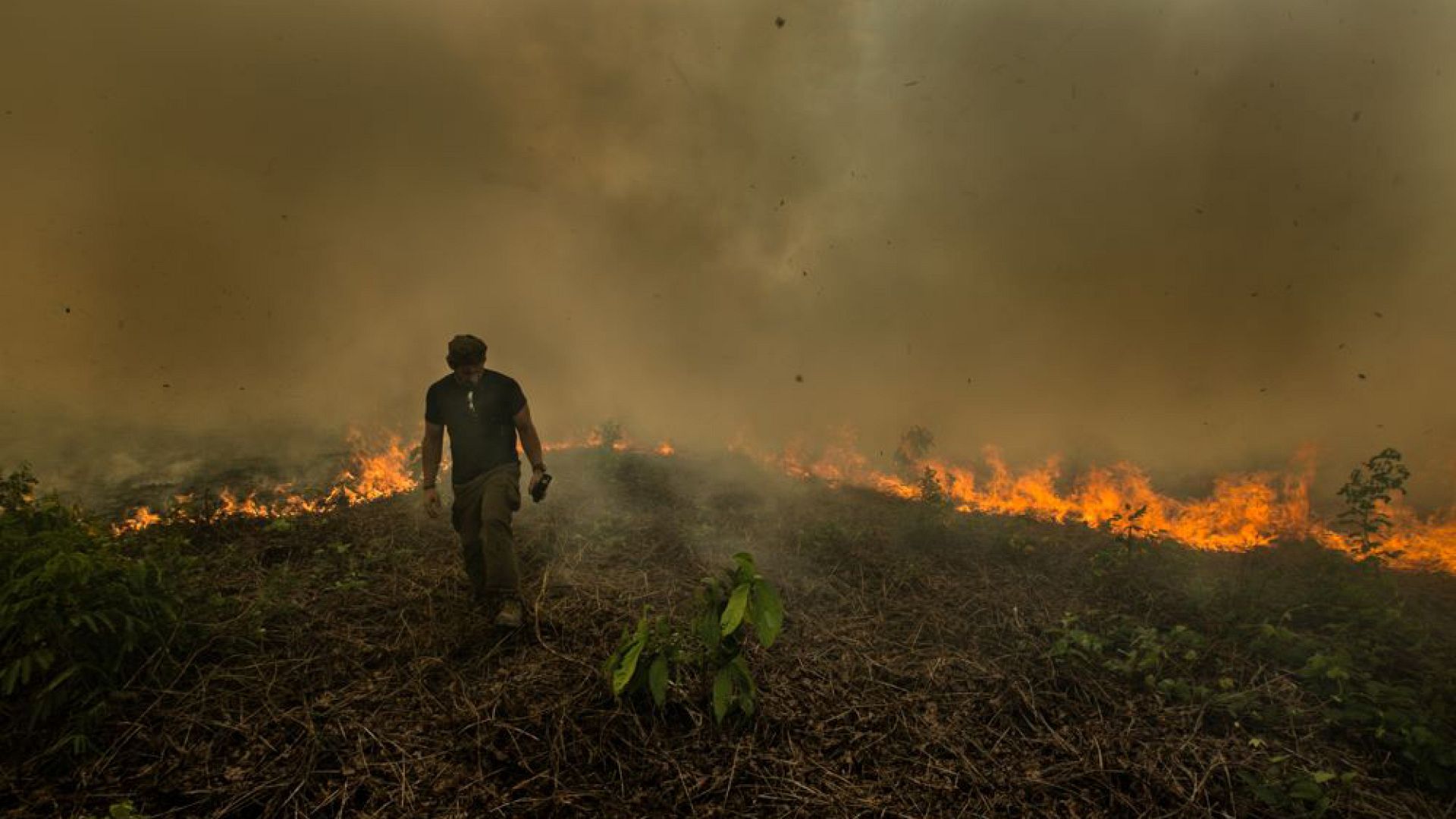 How are the raging fires in the Amazon rainforest affecting climate ...