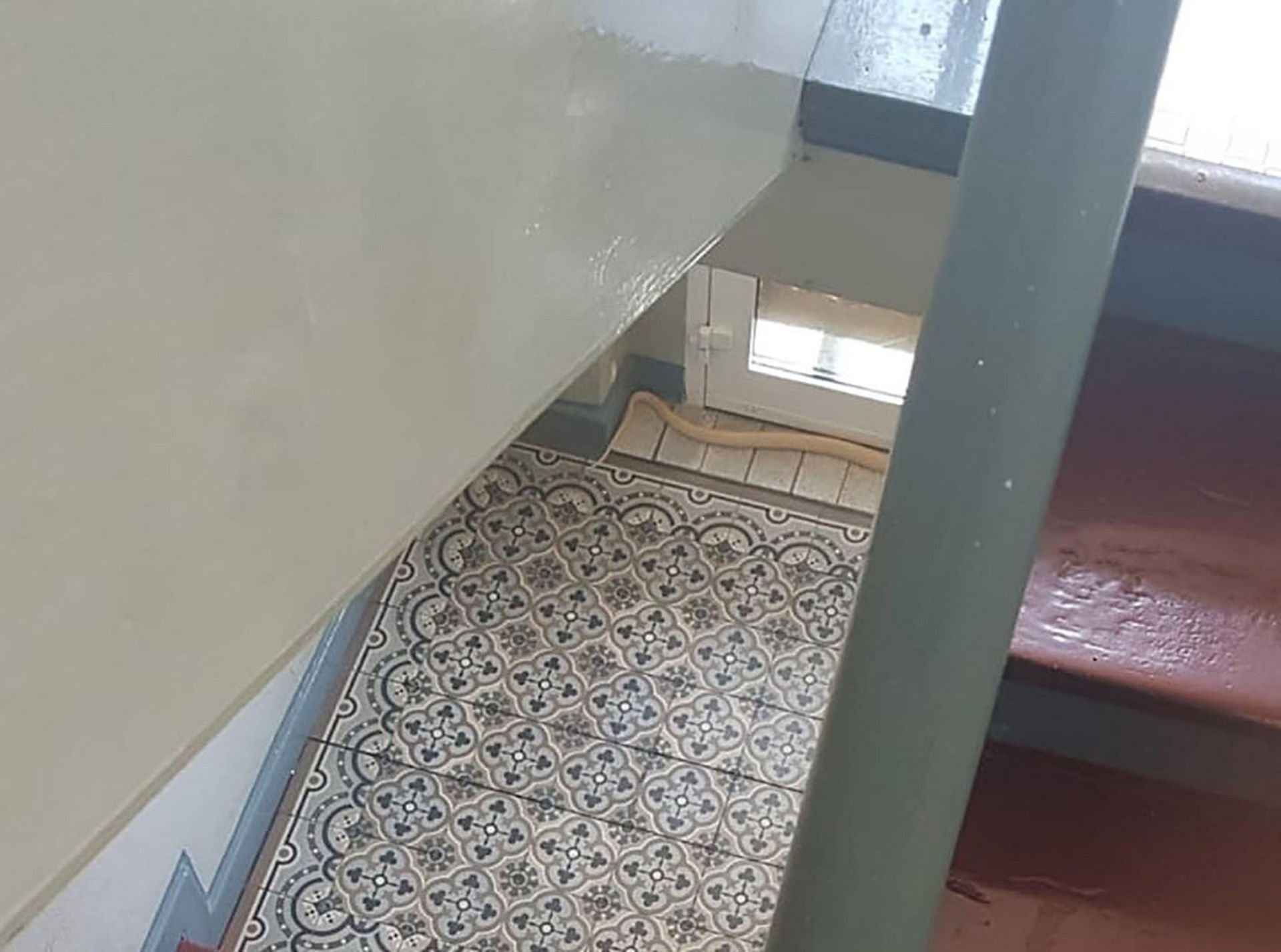 Officials comb building after deadly cobra escapes apartment in Germany ...