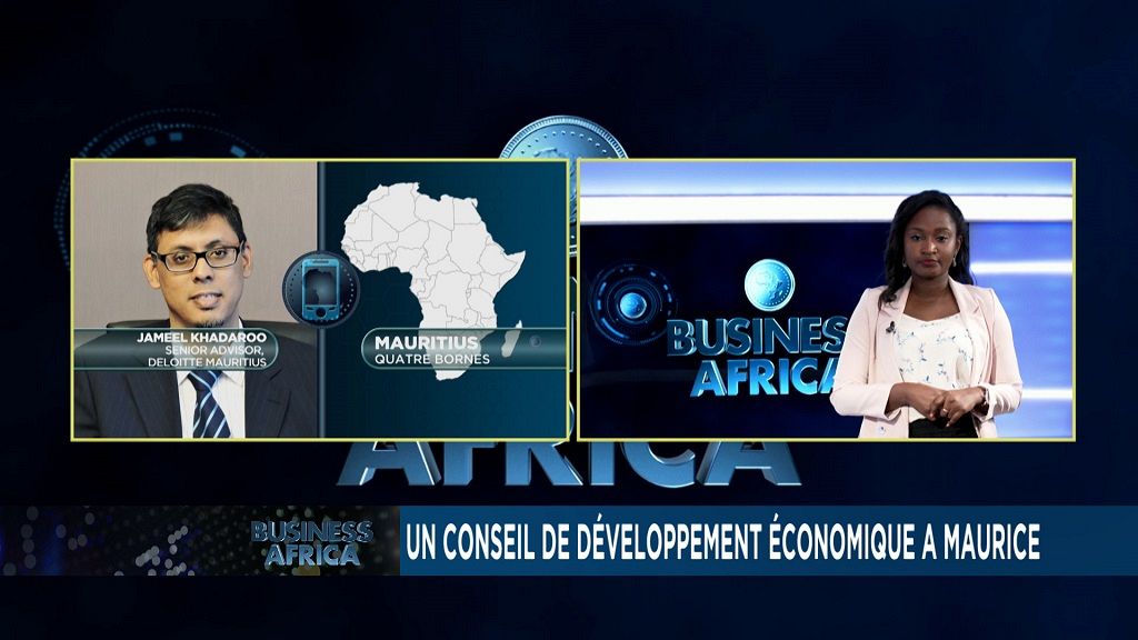 Mauritius Puts Economic Development Board In Place To Support Growth Objectives Business Africa 
