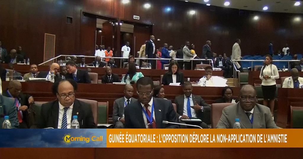 Equatorial Guinea's opposition and the govt granted amnesty [The ...