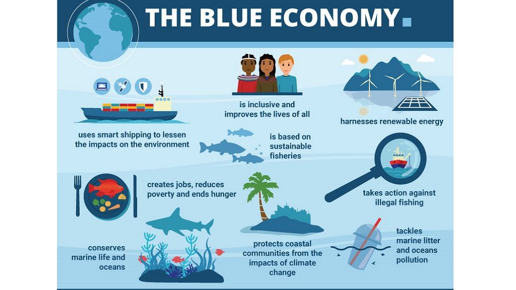 Importance of a Sustainable Blue Economy: Statistics and facts | Africanews